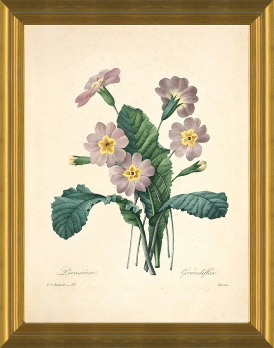 Primrose Folk Art Print Prints Wall Hangings etna.com.pe